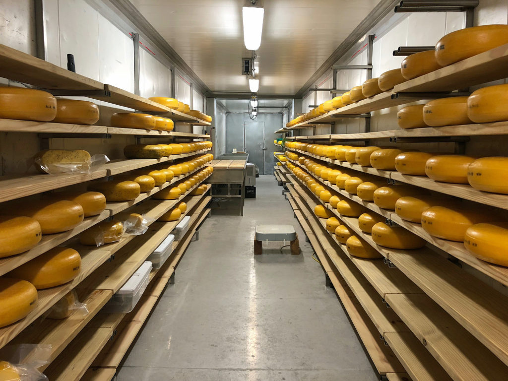 Field Trip :: Forx Farm Artesian Cheese Creamery - Lit&leisure